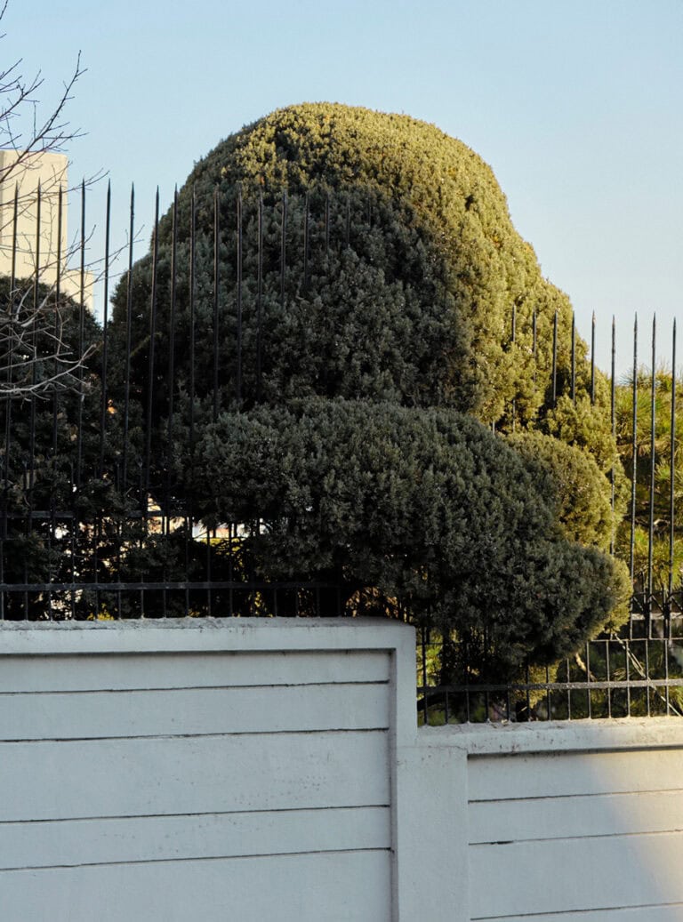 Alessia Morellini shows us the magic of the first summer weekend