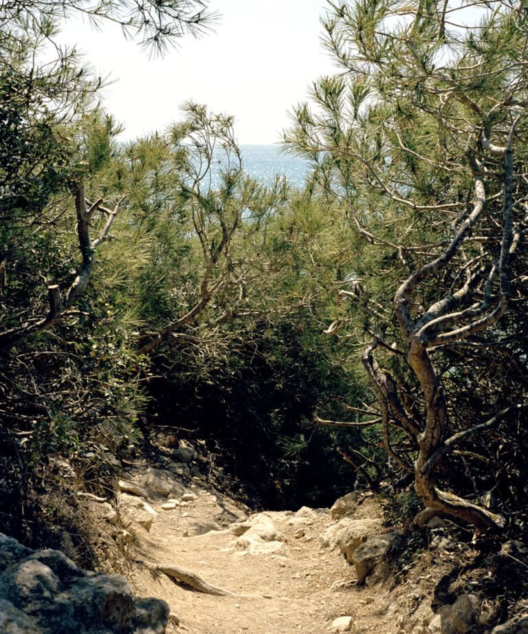 Sander Coers between symbols of youth and male love