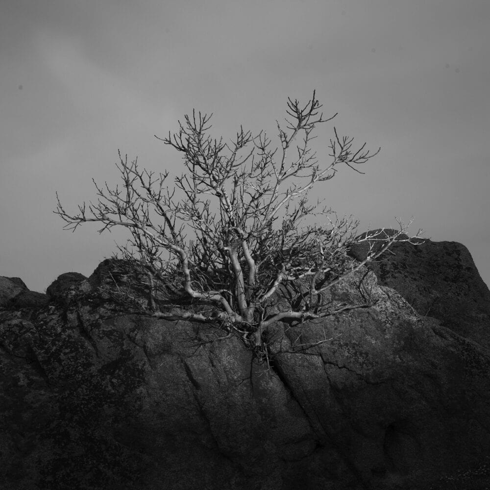 Alexandra Riba tells of the magic of the sky reflected in the sea