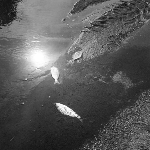 Alexandra Riba tells of the magic of the sky reflected in the sea