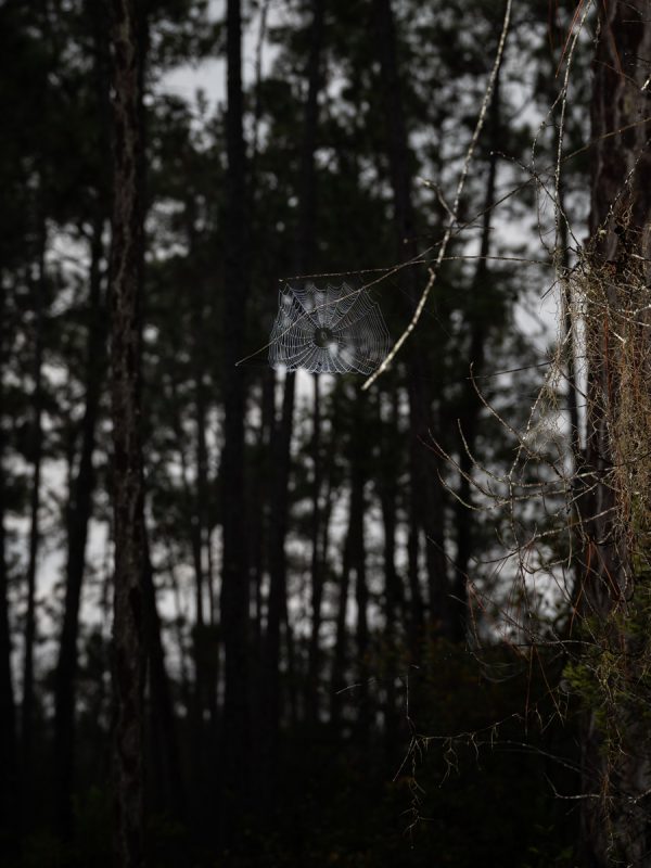 Christopher Valentine and man's destructive tendencies towards nature