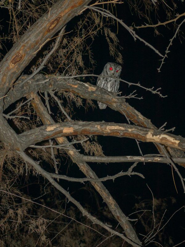 Christopher Valentine and man's destructive tendencies towards nature