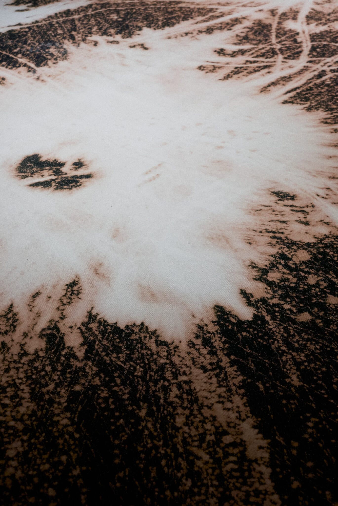 The "Rhizomatic Brain": Italian Pavilion and 2023 Venice Architecture ...